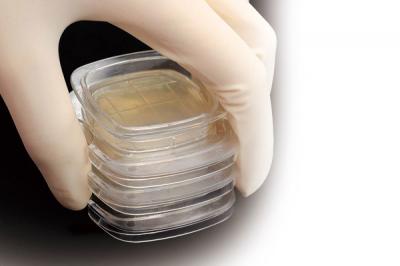 Microbial Testing Kit, Microbiology Sample Test & Lab Kit | ELEX Biological